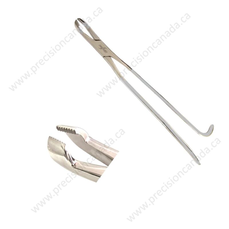Deciduous Premolar Cap Extraction Forceps - Dental Instruments, Small ...