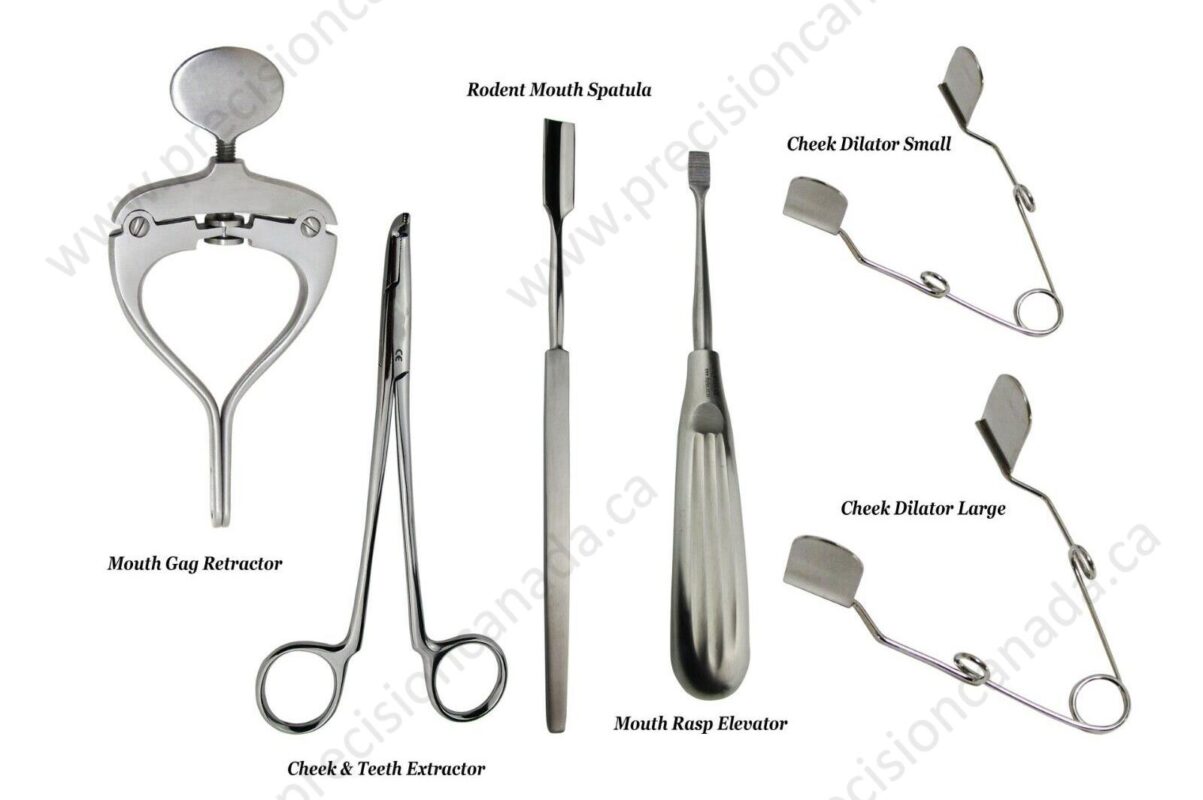Rodent Dental Starter Kit - Dental, Equine (Horse), Extracting Forceps